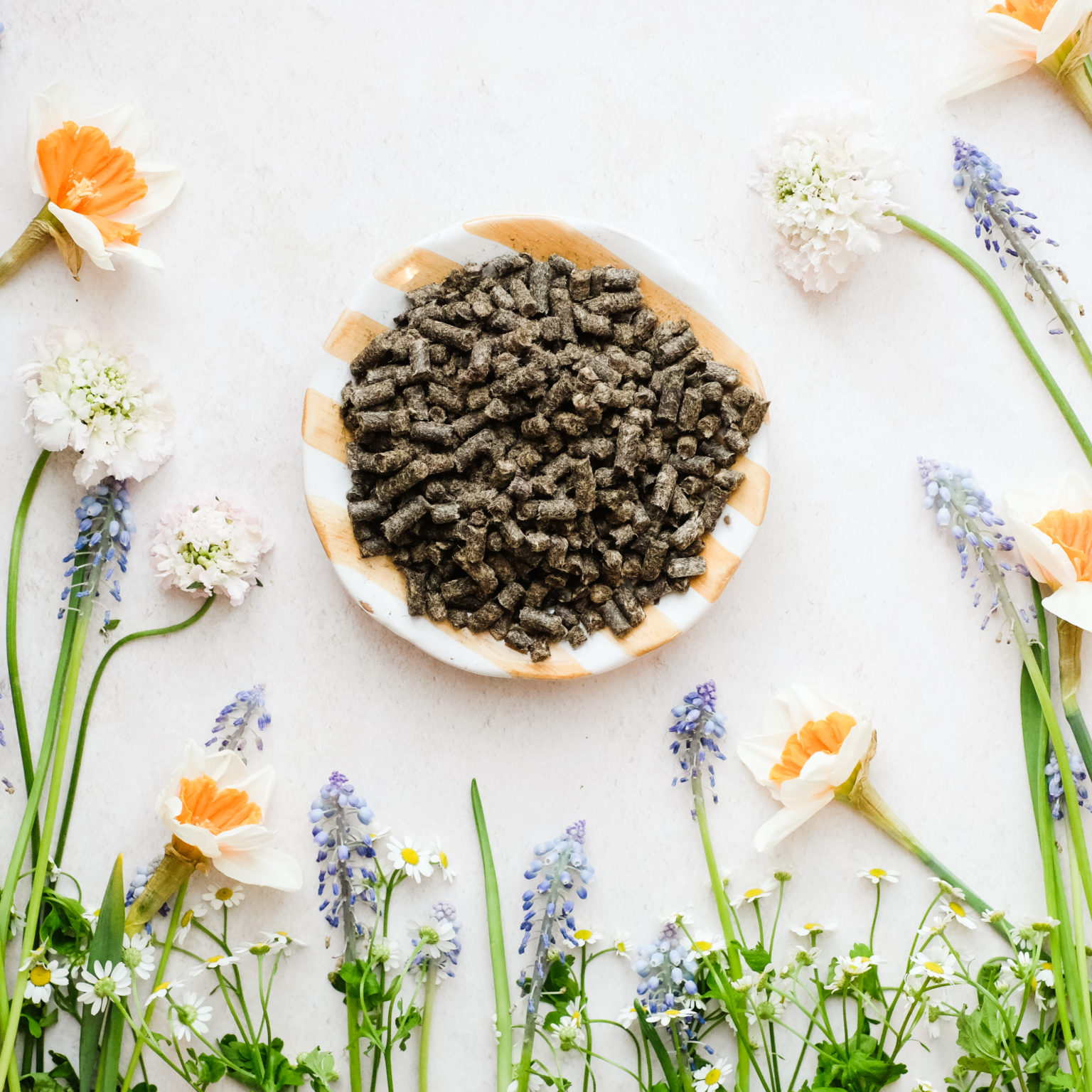 Sheep wool pellets - Jora Dahl